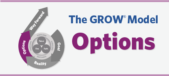 Considering and Evaluating Options Using the GROW Model